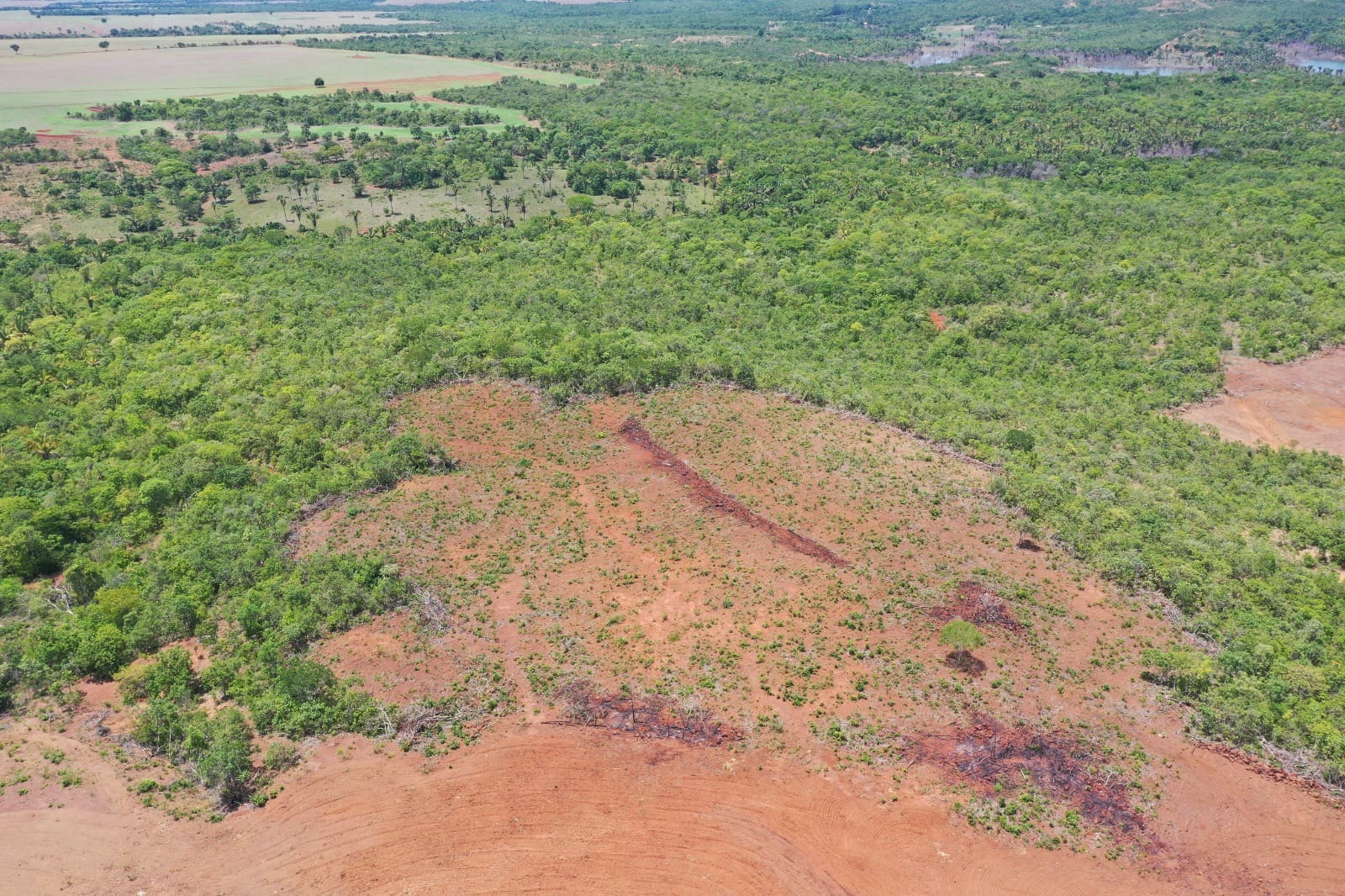 Semad flagra desmatamento no Centro-Oeste e Norte goianos